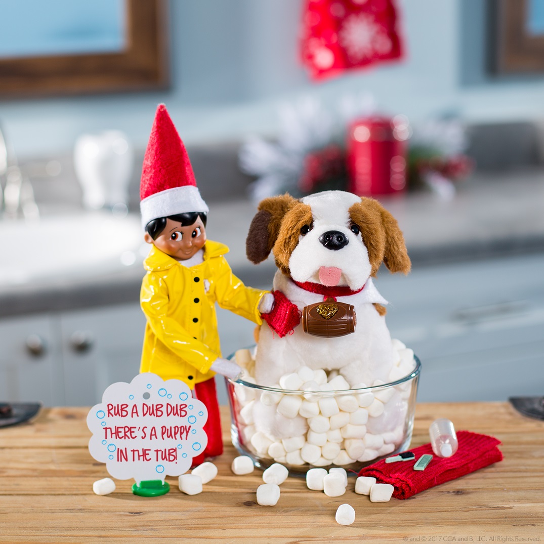Exciting Activities You Can Do With Your Elf Pets The Elf On The Shelf