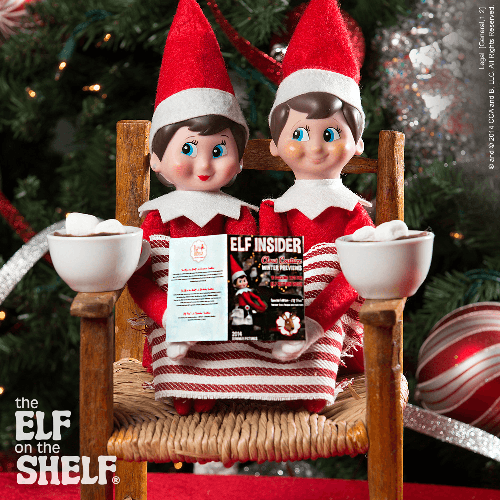 Elf Insider | The Elf on the Shelf