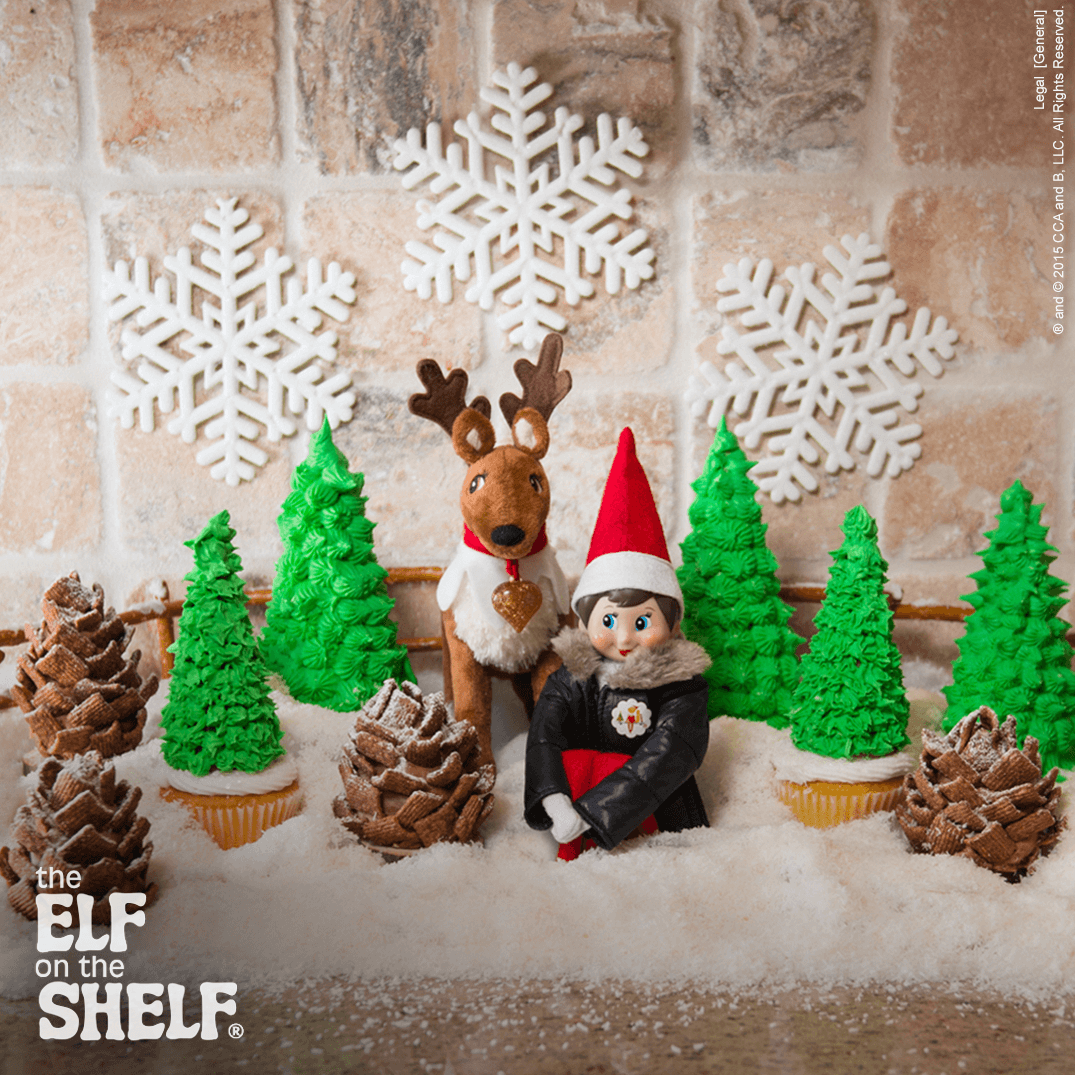Frosted Forest | The Elf on the Shelf