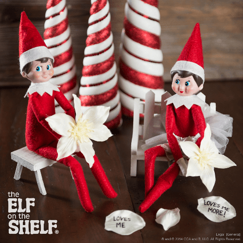 Picking Posies | The Elf on the Shelf