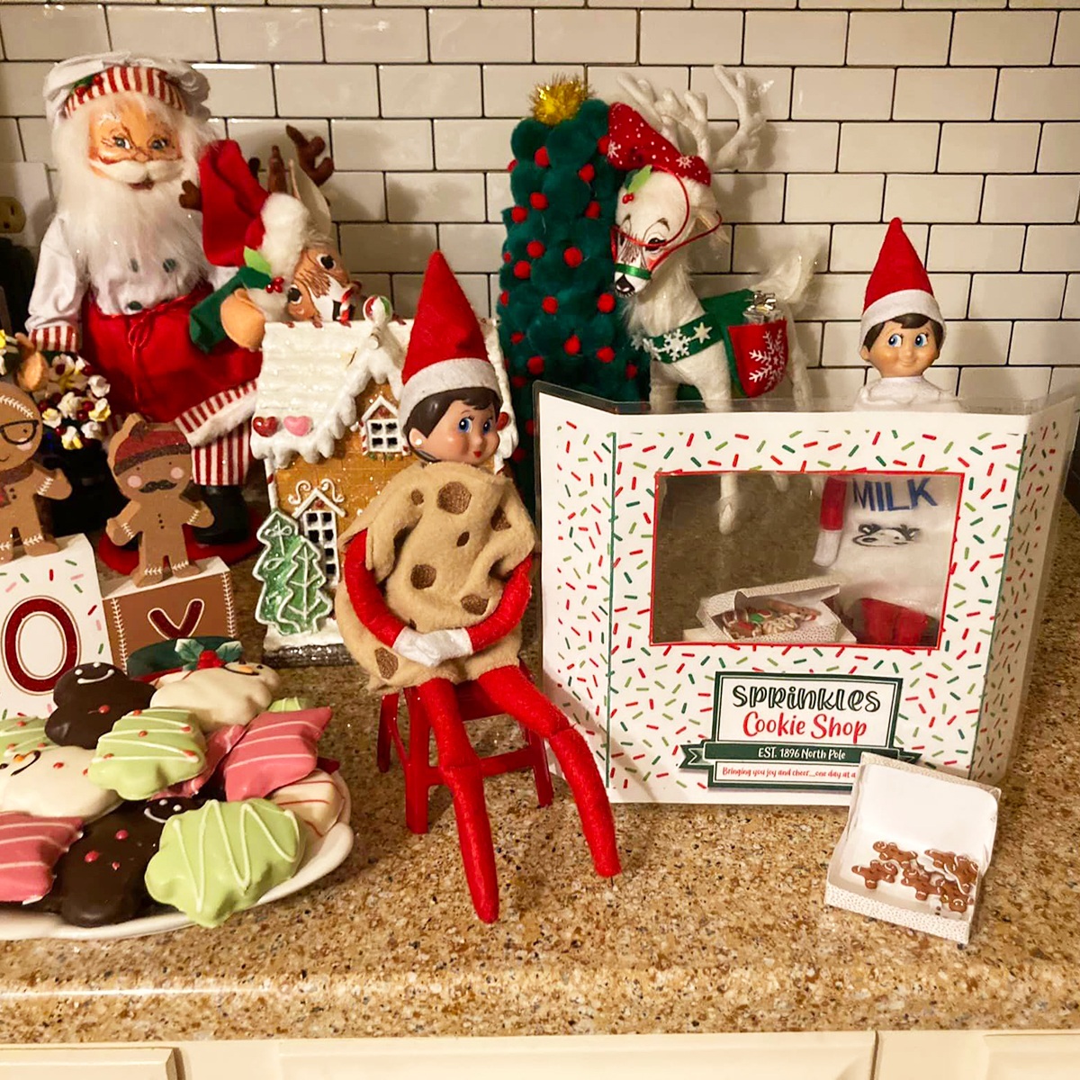 Would You Like A Cookie? | The Elf on the Shelf