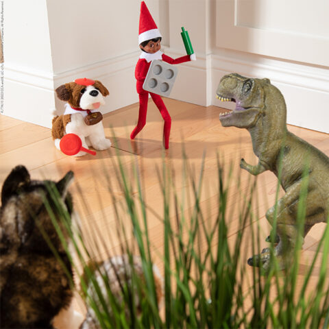 Elf Ideas are Easier Than Ever with Polar Props™ | The Elf on the Shelf