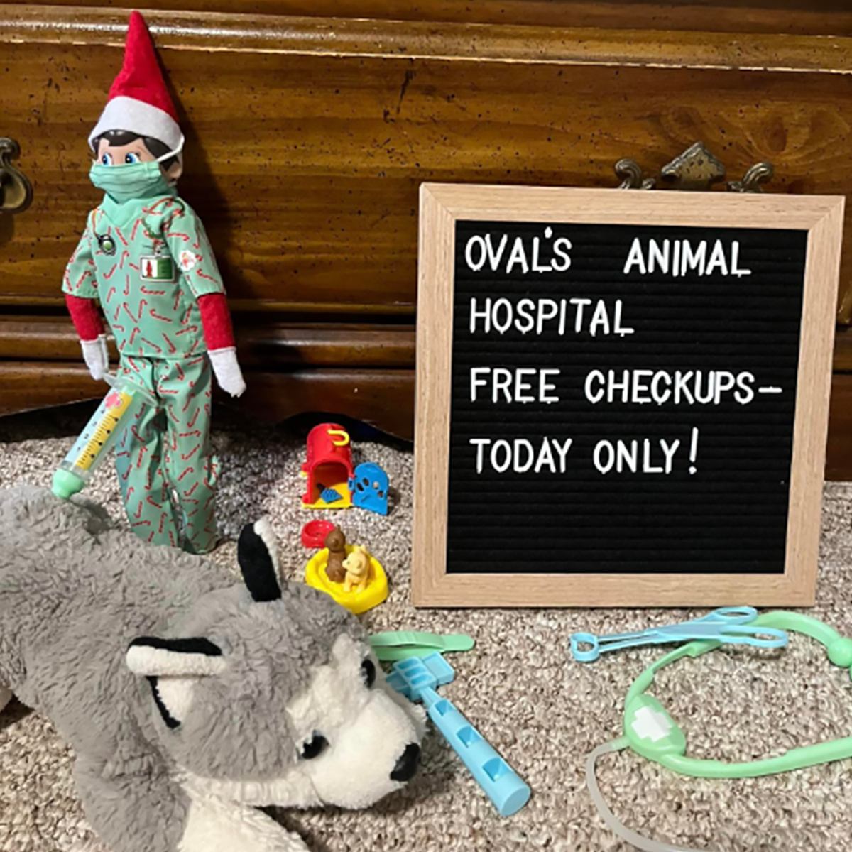 Oval's Animal Hospital | The Elf on the Shelf