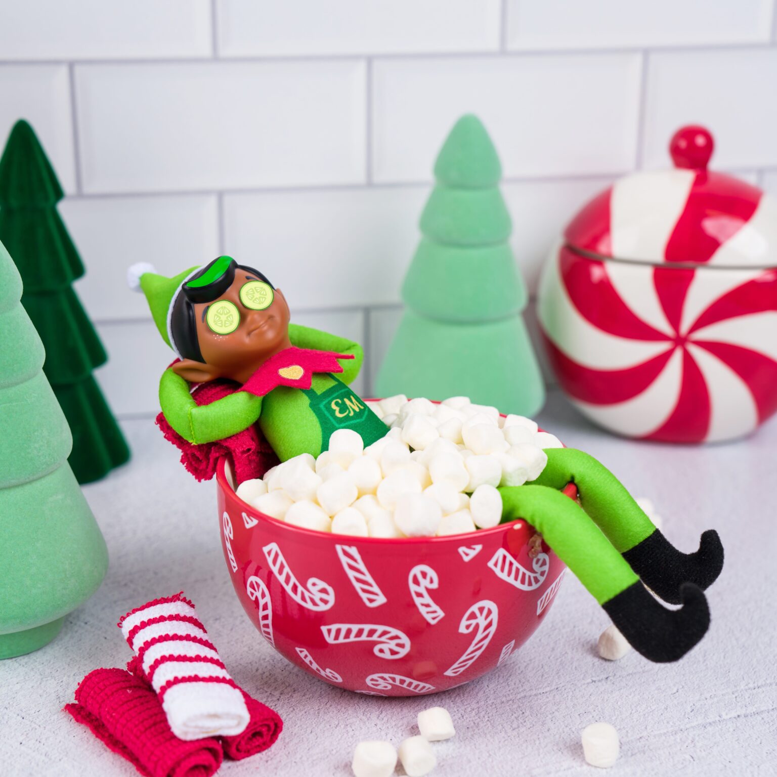 Five Creative Ways to Introduce Elf Mates This Christmas | The Elf on ...