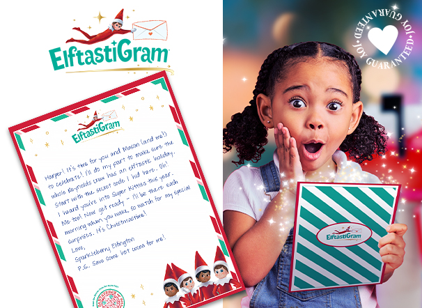 Elf Registry - Success | The Elf on the Shelf