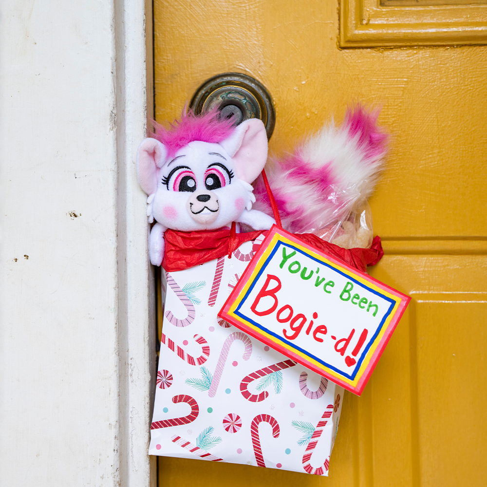 The Elf on the Shelf | A Christmas Tradition