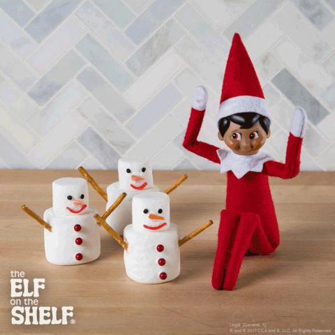 Ideas for Scout Elves - Elf On The Shelf Australia