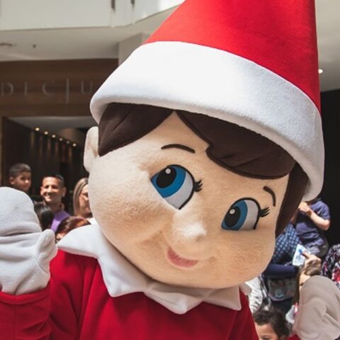 Aussie Inspired Elf on the Shelf Ideas - Elf On The Shelf Australia